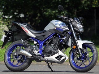 YAMAHA MT-25 カスタムパーツ通販